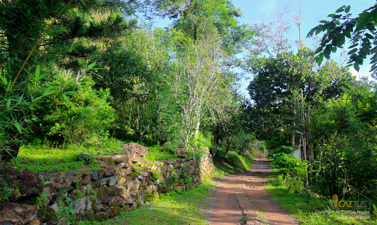 KHÁM PHÁ LINH QUY PHÁP ẤN BẢO LỘC - CAZTUS HOUSE