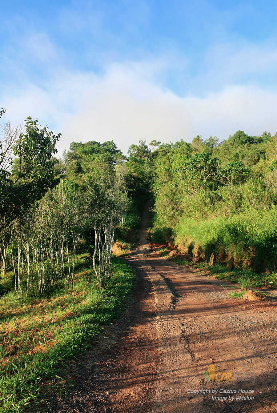 KHÁM PHÁ LINH QUY PHÁP ẤN BẢO LỘC - CAZTUS HOUSE