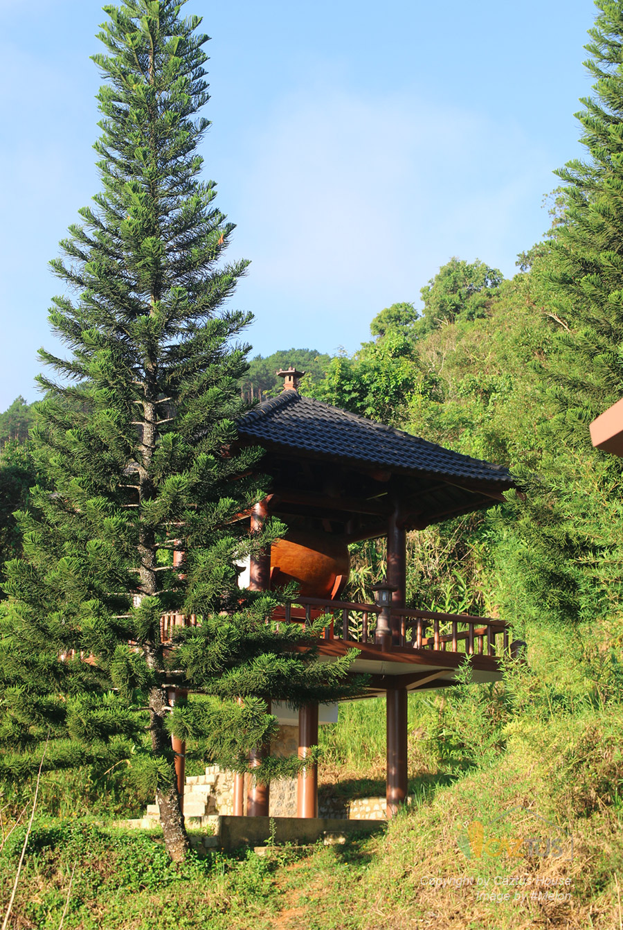 KHÁM PHÁ LINH QUY PHÁP ẤN BẢO LỘC - CAZTUS HOUSE