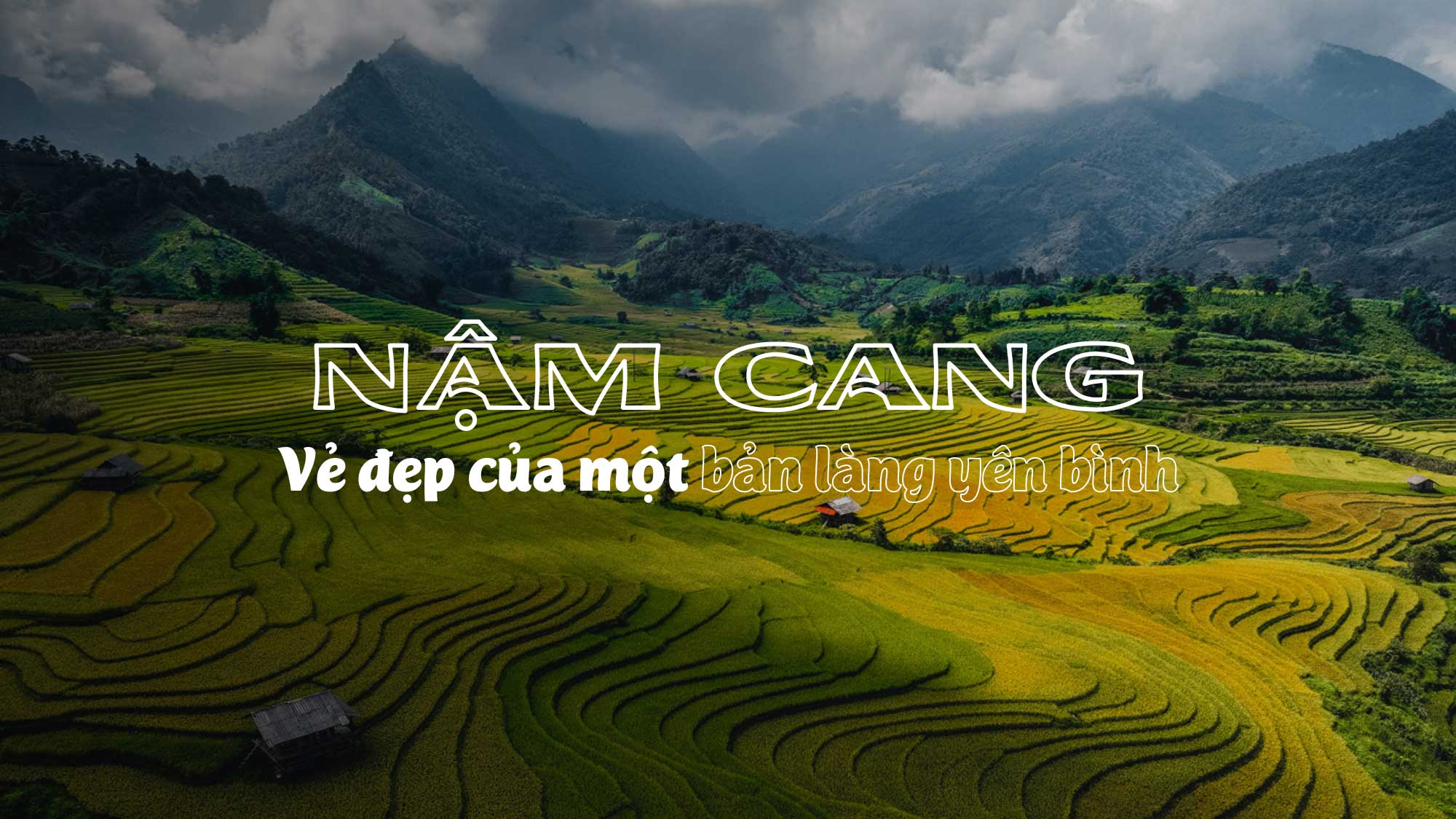 NẬM CANG - NÂNG NIU MÙA VÀNG VÙNG CAO NGUYÊN - CAZTUS HOUSE